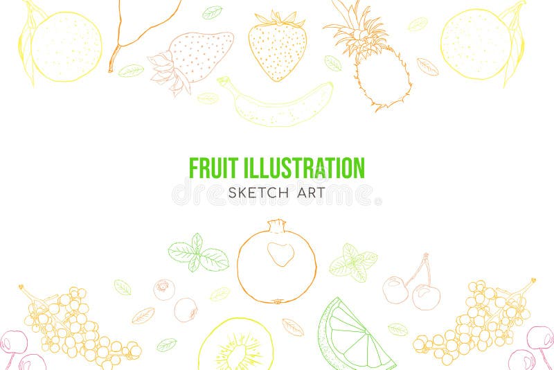 Fruits Sketch Art Illustration Stock Vector - Illustration of element ...