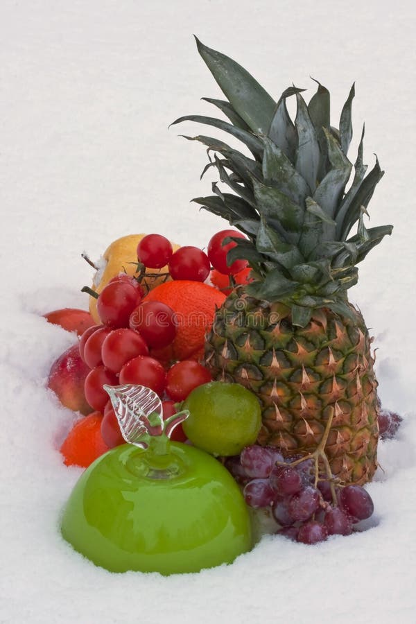 Fruits on the snow stock image. Image of food, exotic - 23478409