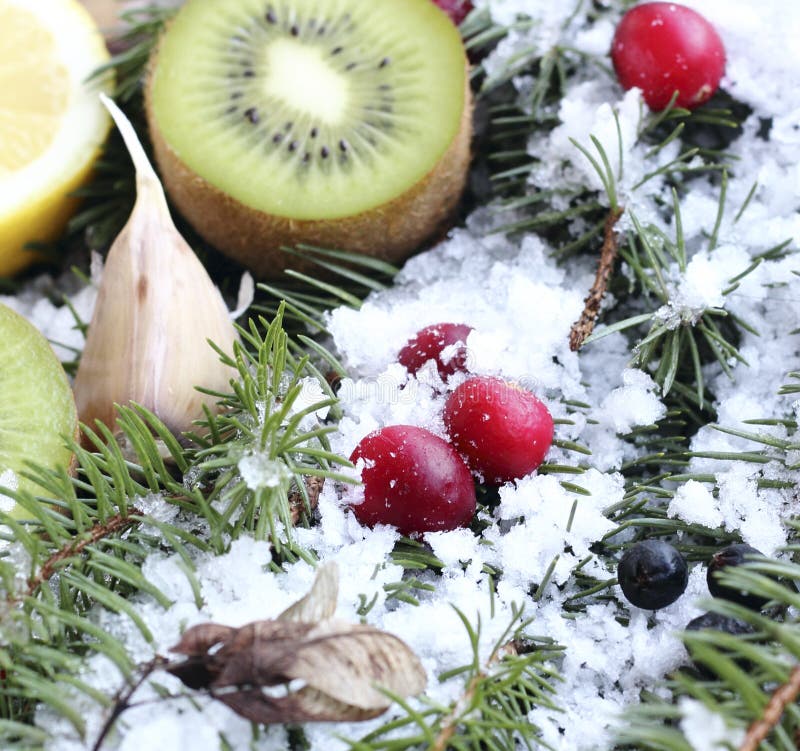 Fruits in the snow stock image. Image of frost, fresh - 63827087