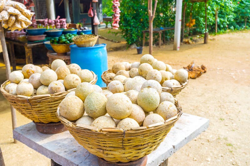 Fruit Season In Sri Lanka at Jasmine Thornber blog