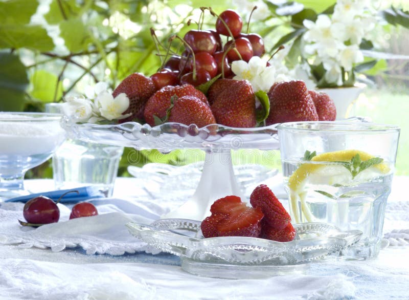 Summer tea time stock photo. Image of preserves, apricots - 17399778