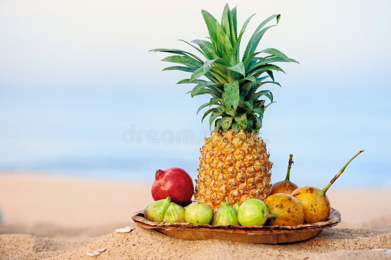 Fruits sur le sable photo stock. Image du compartiment - 22813500