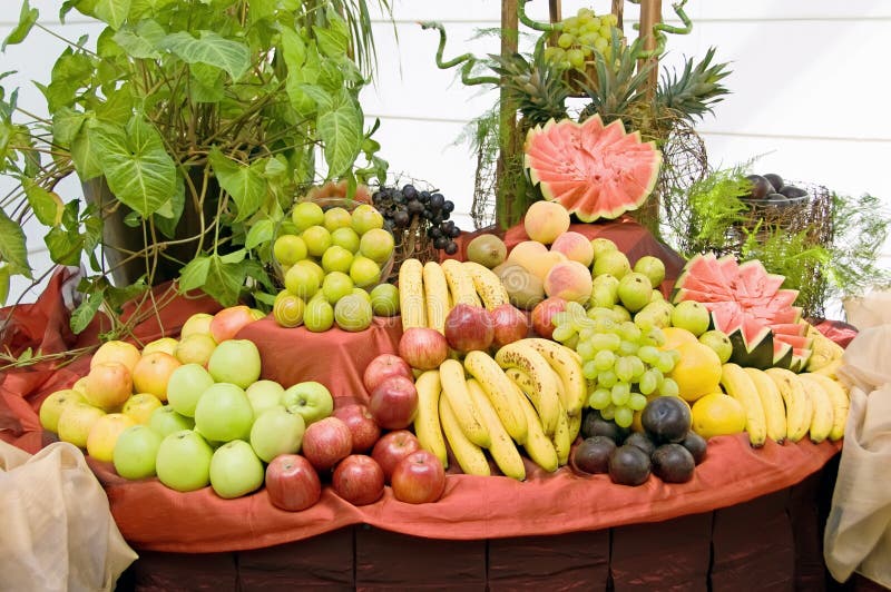 Fruits table stock photo. Image of fruit, industry, artistic - 3048472