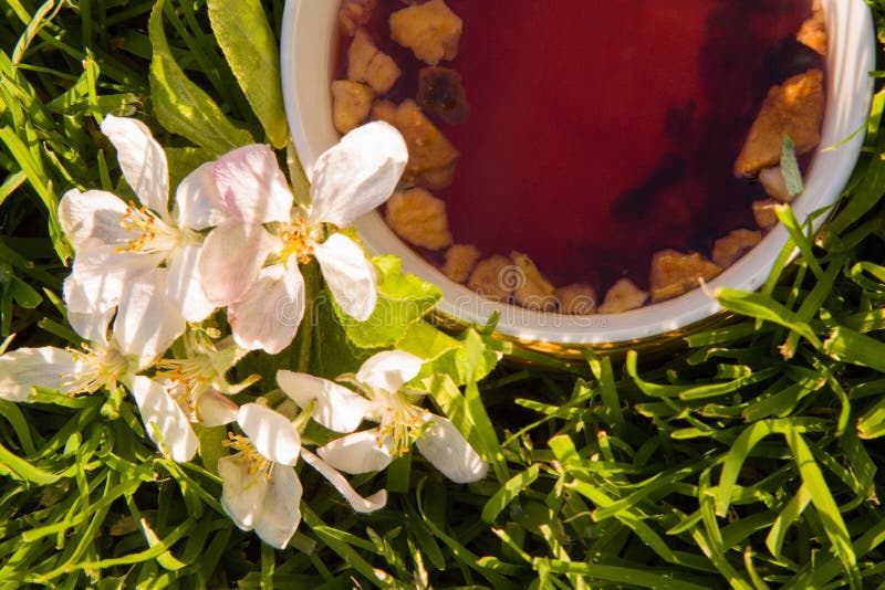 Fruits Tea Cup and Blooming Apple Flower Stock Image - Image of ...