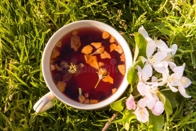 Fruits Tea Cup and Blooming Apple Flower Stock Photo - Image of healthy ...