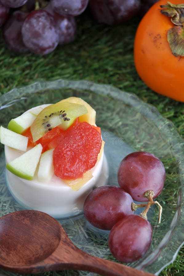 Fruits Topping on Pudding stock photo. Image of appetizer - 63304278