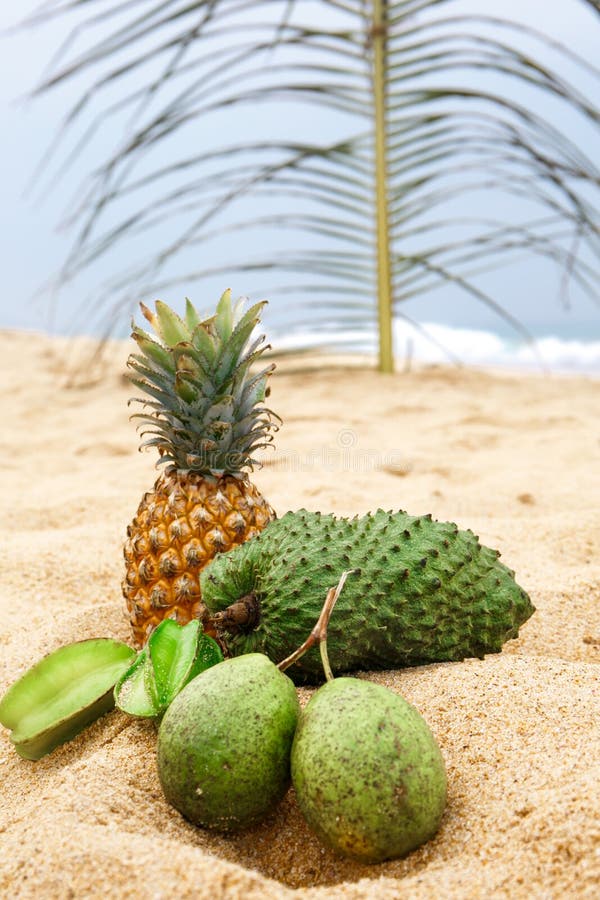 Fruits under the palm tree stock image. Image of pineapple - 125976715