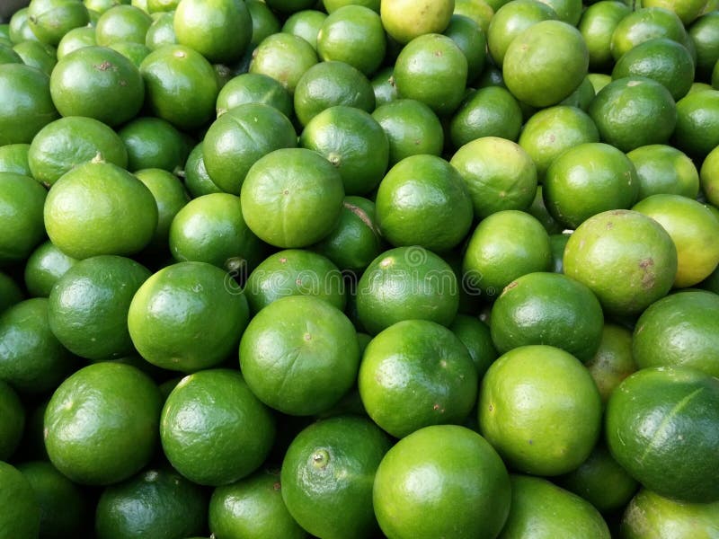Fruits and vegetable stock image. Image of lime, lemon - 48545437