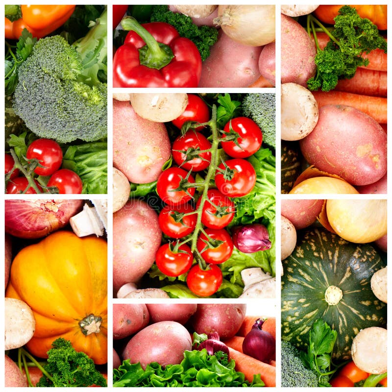 Fruits and vegetables stock photo. Image of fennel, carrot - 13014912