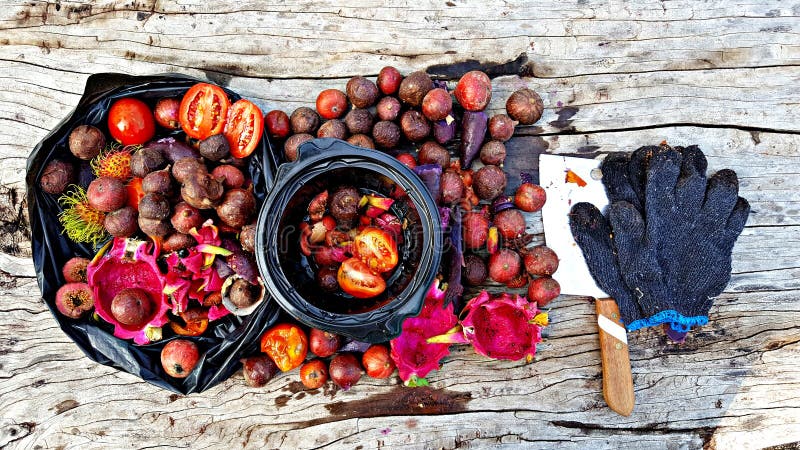 Fruits and Vegetables are Preparing To Compost Fertilizer Stock Photo ...