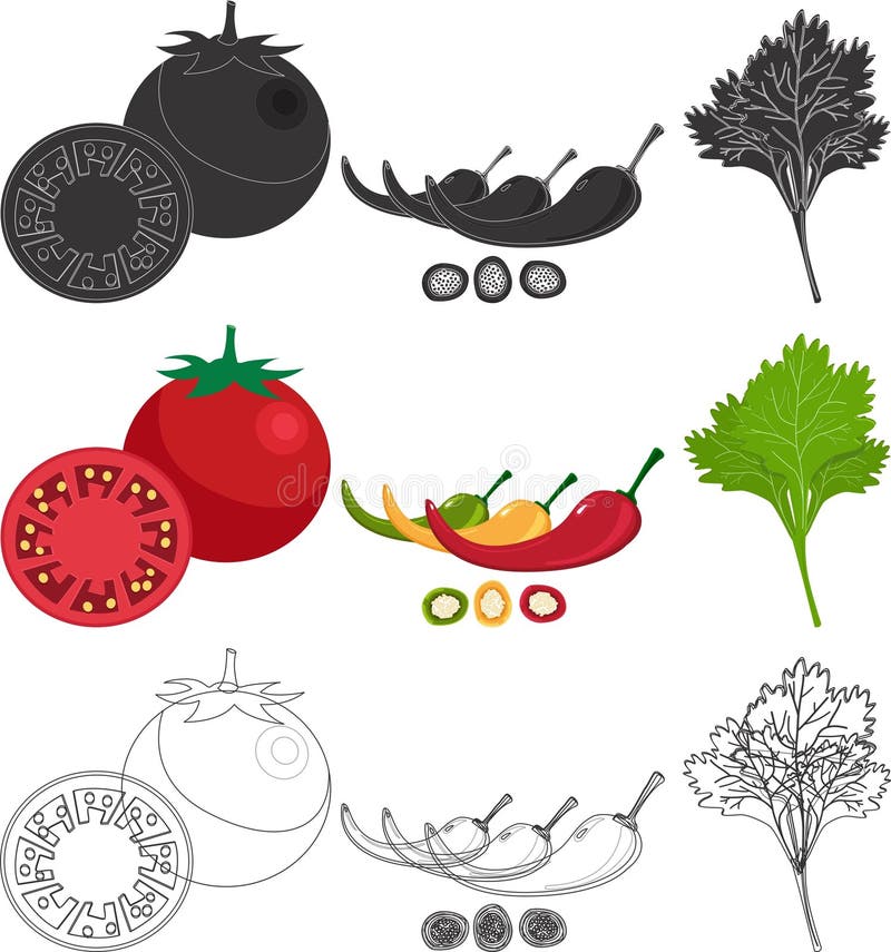 Fruits and Vegetables Design Illustration Vector Stock Vector ...