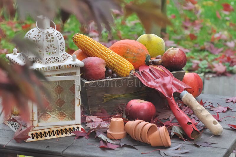 Fruits and vegetables fall stock image. Image of outdoor - 35198297