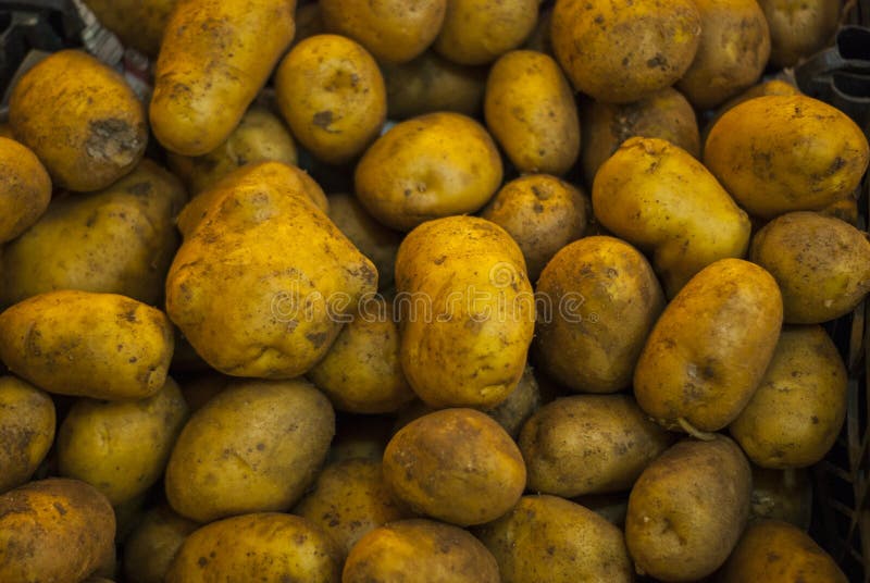 Potatoes stand stock photo. Image of vegetable, nutrition - 19692248