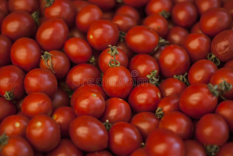 Tomatoes stock photo. Image of supermarket, tomato, stall - 124497446