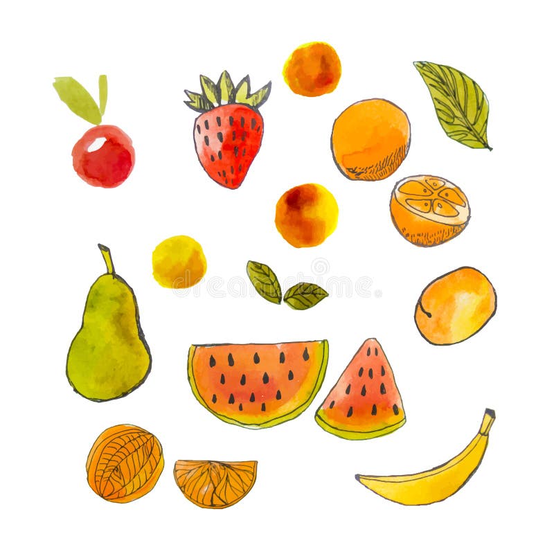 Fruits Watercolor To Color in Vector Stock Vector - Illustration of ...