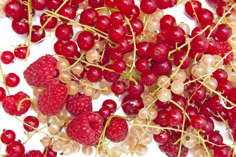 Fruity background stock image. Image of fruits, abstract - 148526335