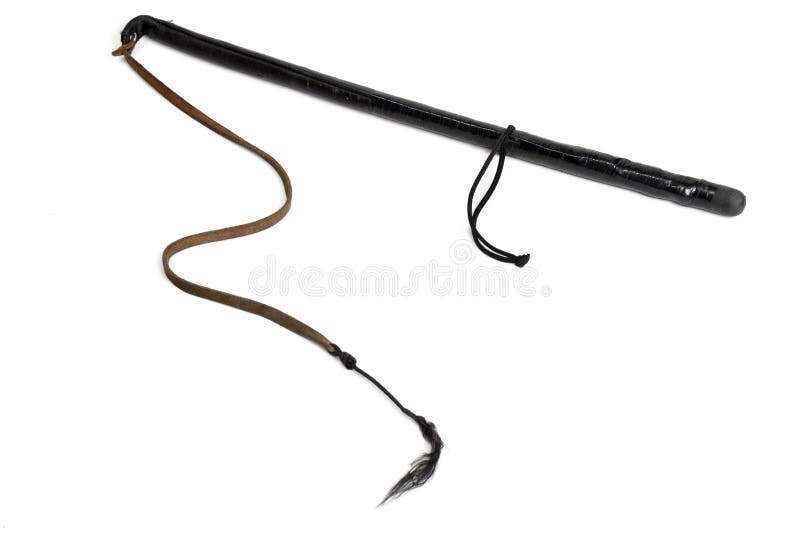 Frusta di cuoio fotografia stock. Immagine di addestramento - 13073596