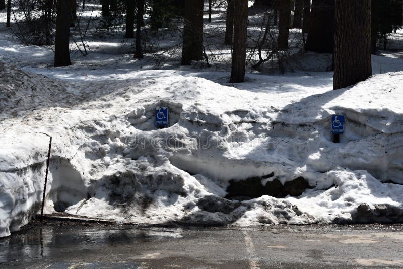 Frustration Building Over Slow Snow Cleanup Stock Photo - Image of calm ...