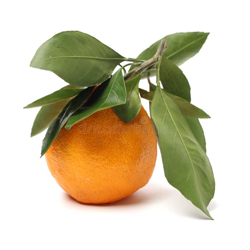 Fruta anaranjada foto de archivo. Imagen de nutritivo - 34611892