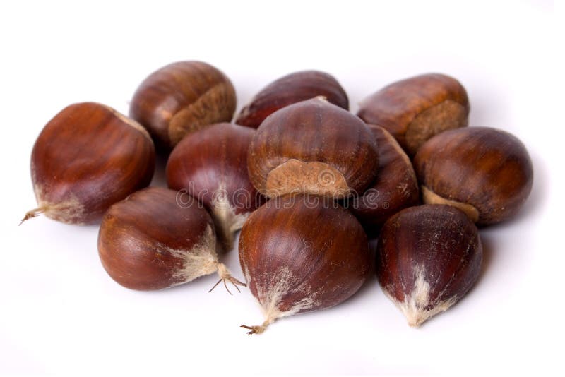 Fruta Da Castanha Isolada No Branco Foto de Stock - Imagem de ...
