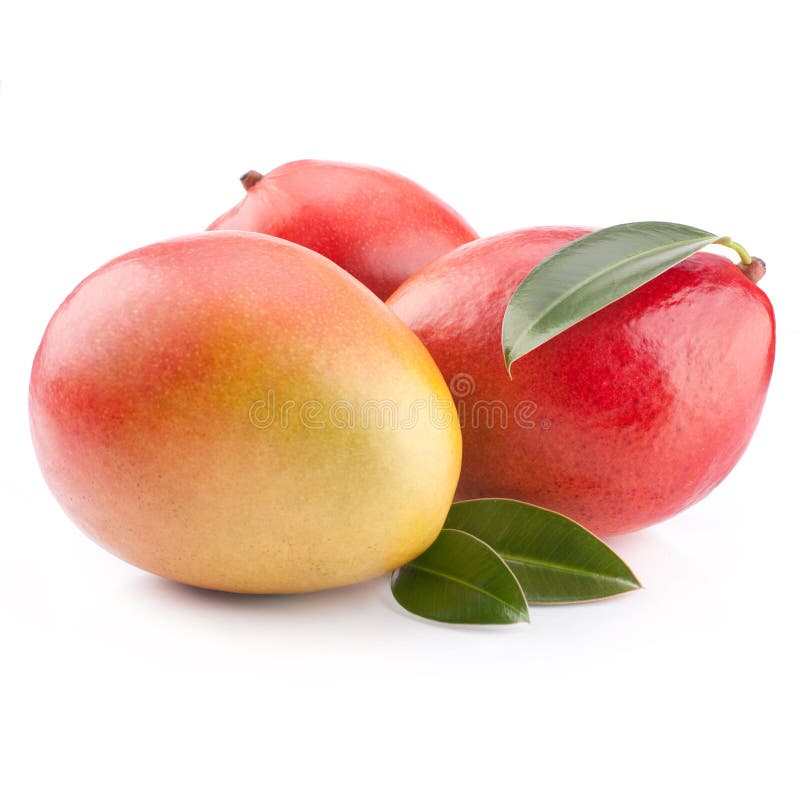 Fruta da manga isolada foto de stock. Imagem de citrino - 19703834