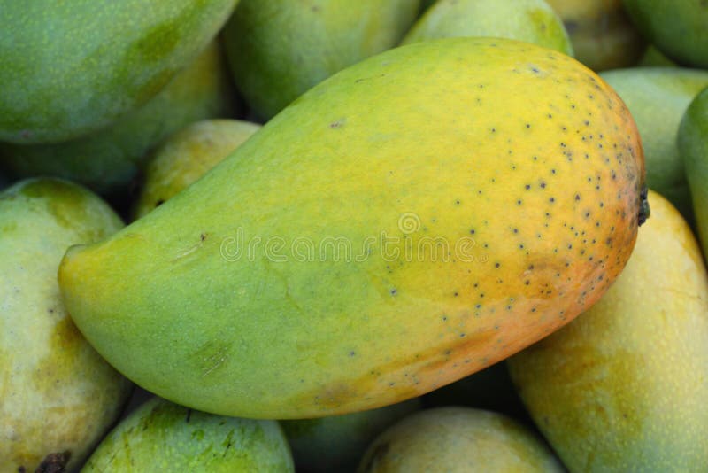 Fruta da manga, Tailândia foto de stock. Imagem de completamente - 25436898