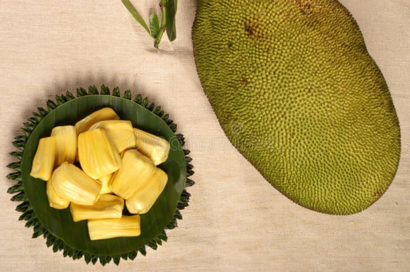 Fruta de um ?Jack novo? foto de stock. Imagem de amarelo - 14027646