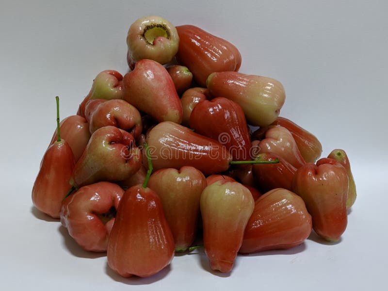 Fruta De Java De Manzana En Fondo Aislado Foto de archivo - Imagen de ...
