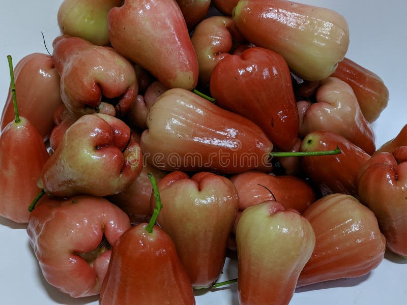 Fruta De Java De Manzana En Fondo Aislado Imagen de archivo - Imagen de ...