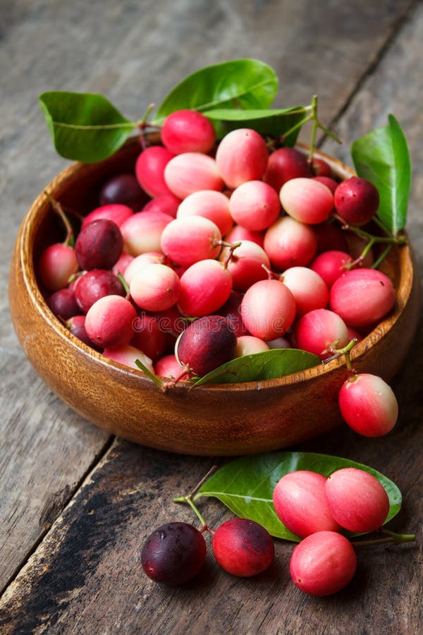 Fruta De Karanda, Carandas L Del Carissa Imagen de archivo - Imagen de ...