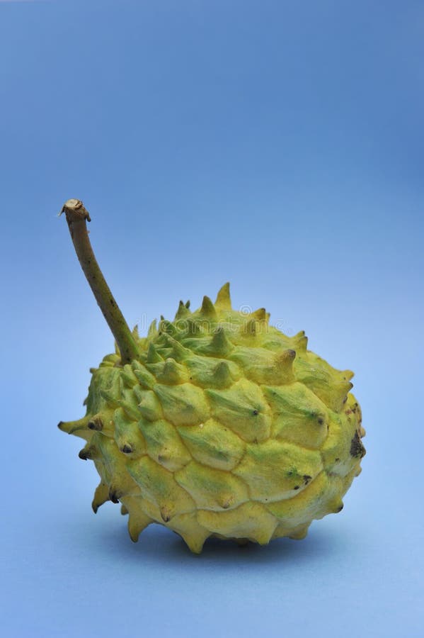 Fruta de la anona foto de archivo. Imagen de anona, fruta - 32780764