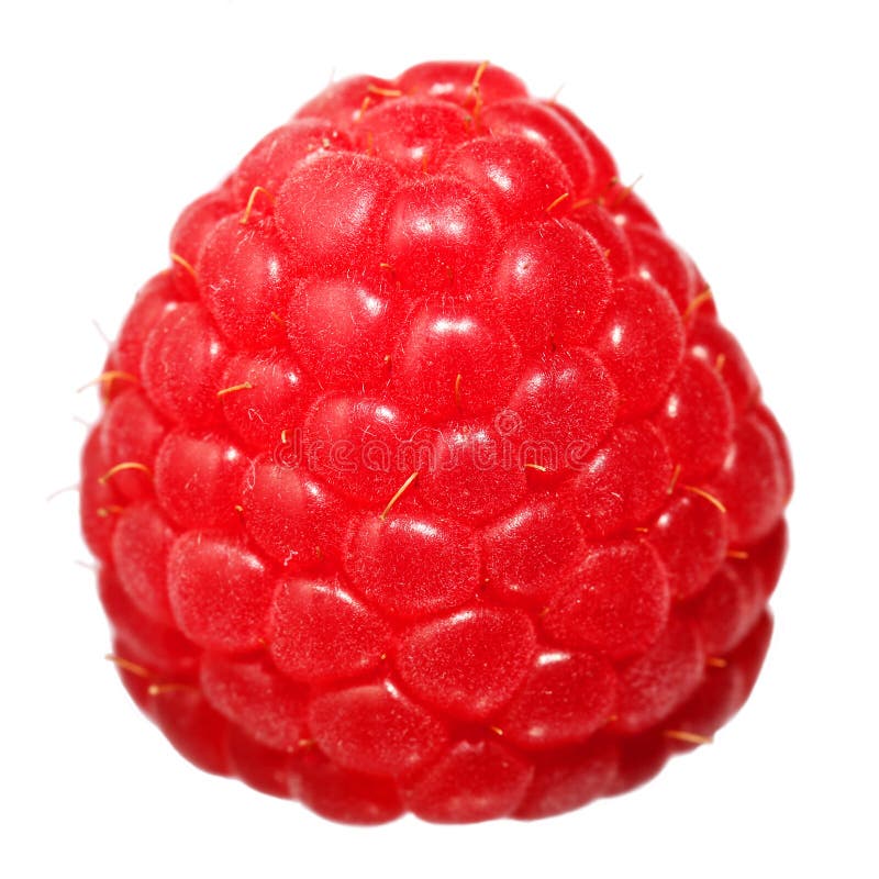Frambuesa, Aislada Sobre Fondo Blanco Imagen de archivo - Imagen de ...