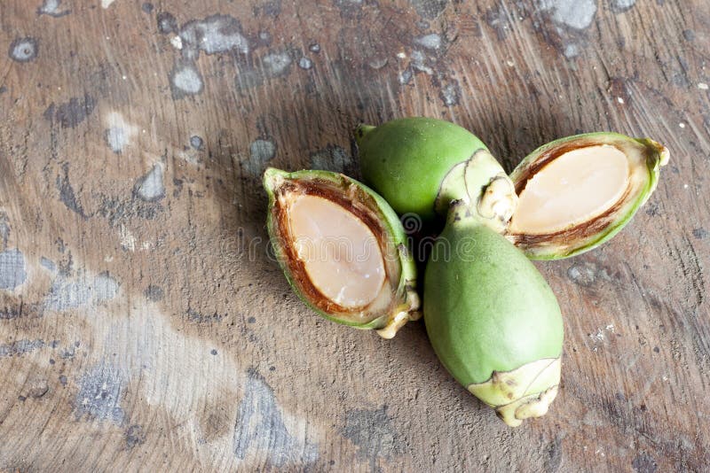 Fruta De La Palma De La Cola De Zorra Imagen de archivo - Imagen de ...