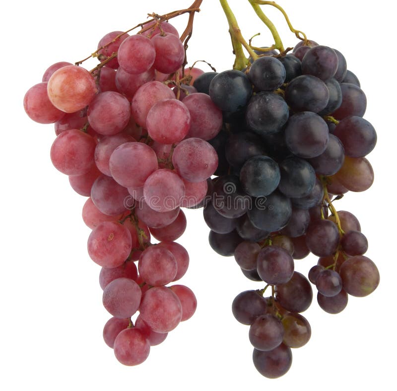 Fruta de la uva imagen de archivo. Imagen de vitaminas - 15986757