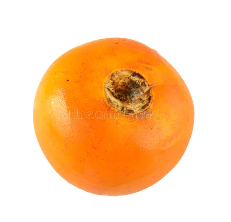 Fruta de Lulo de Colombia foto de archivo. Imagen de colombia - 16766352