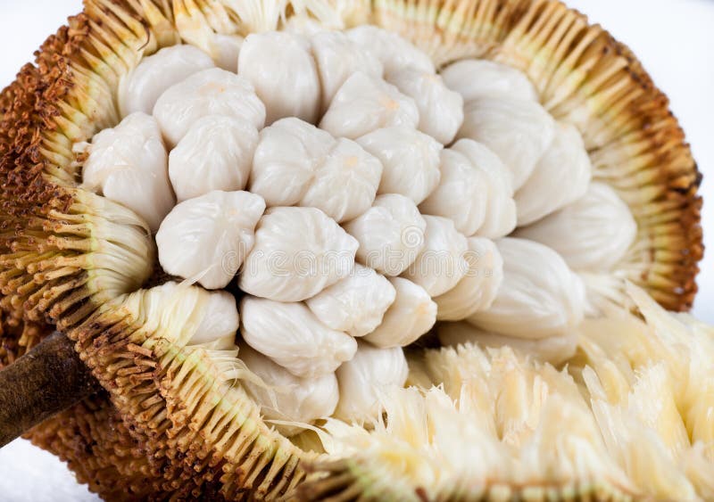 Fruta de Marang imagen de archivo. Imagen de roble, fruta - 33099159