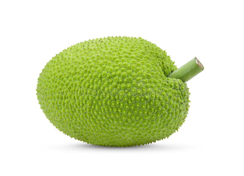 Fruta De Pan Sobre Fondo Blanco Imagen de archivo - Imagen de verde ...