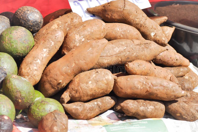 Fruta De Yacon O Sonchifolius Del Smallanthus Imagen de archivo ...