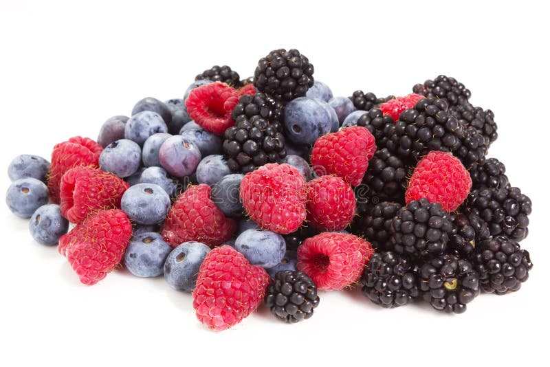 Frutos del bosque imagen de archivo. Imagen de primer - 33655169
