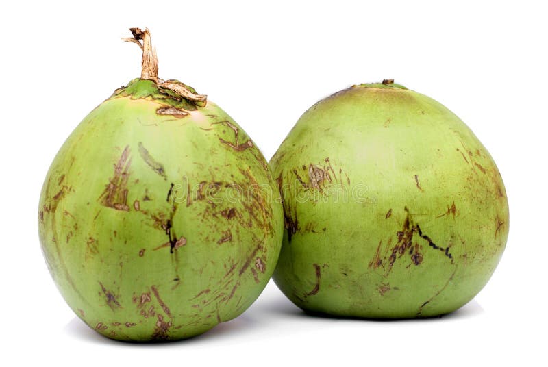 Fruta del coco foto de archivo. Imagen de sano, fondo - 6046624