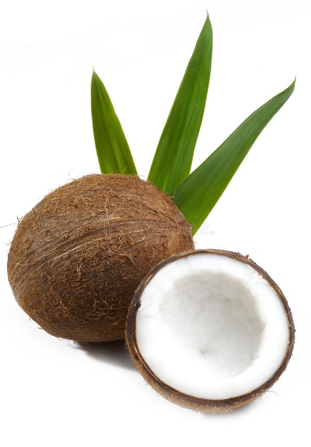 Fruta del coco foto de archivo. Imagen de coco, verde - 25307842