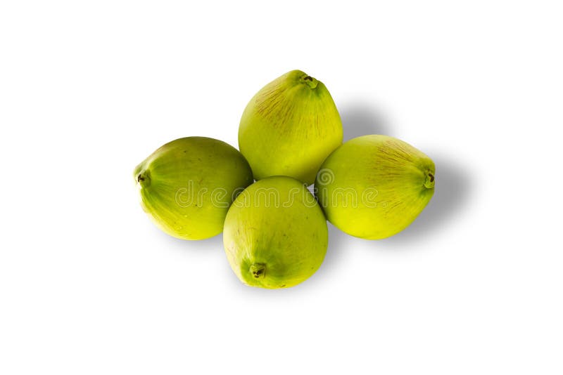 Fruta del coco aislada imagen de archivo. Imagen de bebida - 17082111