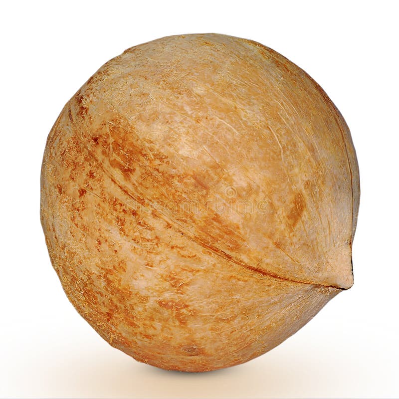 Fruta Del Coco Aislada En Blanco Imagen de archivo - Imagen de ...