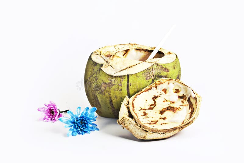 Fruta del coco con la flor imagen de archivo. Imagen de duro - 46156361