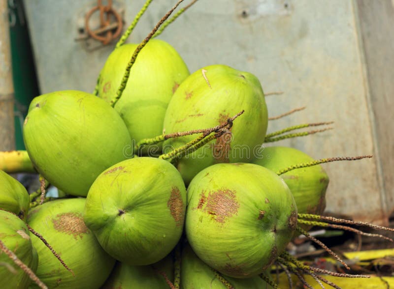 Fruta Del Coco En El Mercado Foto de archivo - Imagen de alimento ...