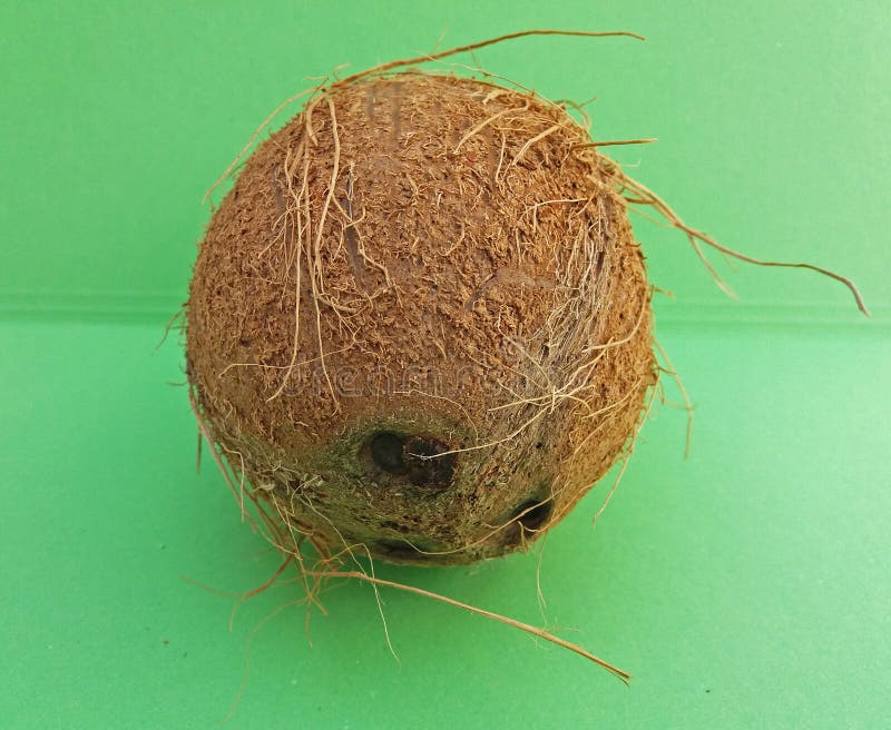Fruta Del Coco Sobre Fondo Verde Claro Imagen de archivo - Imagen de ...