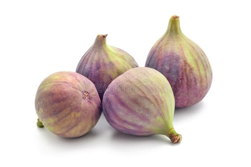 Fruta del higo foto de archivo. Imagen de blanco, crudo - 49150700