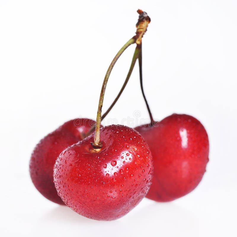 Fruta del jerez foto de archivo. Imagen de color, aislado - 32498500