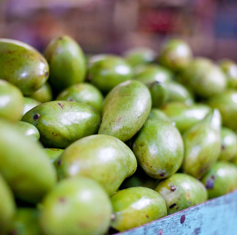 Fruta del mango imagen de archivo. Imagen de grupo, fruta - 31433331