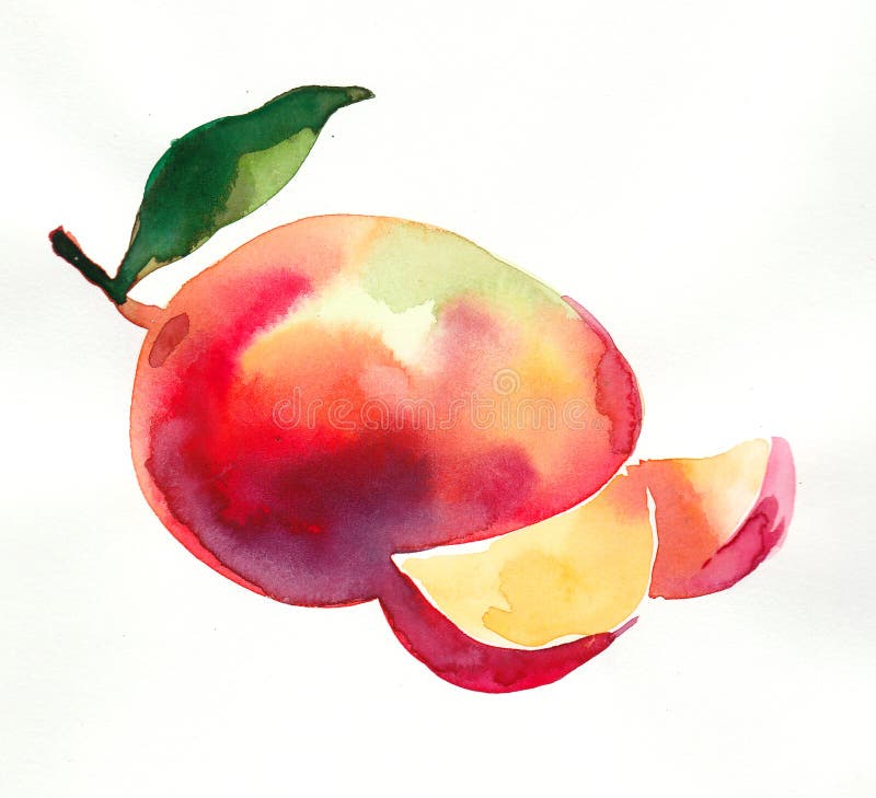 Fruta Del Mango De La Acuarela Stock de ilustración - Ilustración de ...
